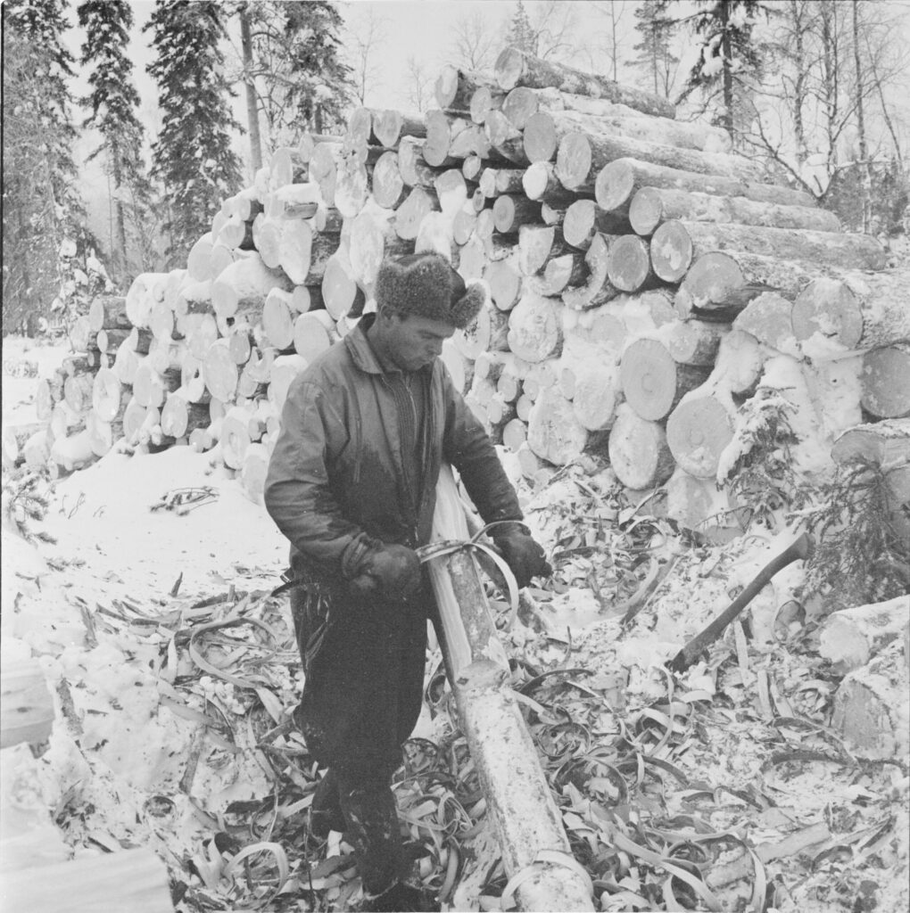 Metsuri kuorimassa pölliä - Vahvike